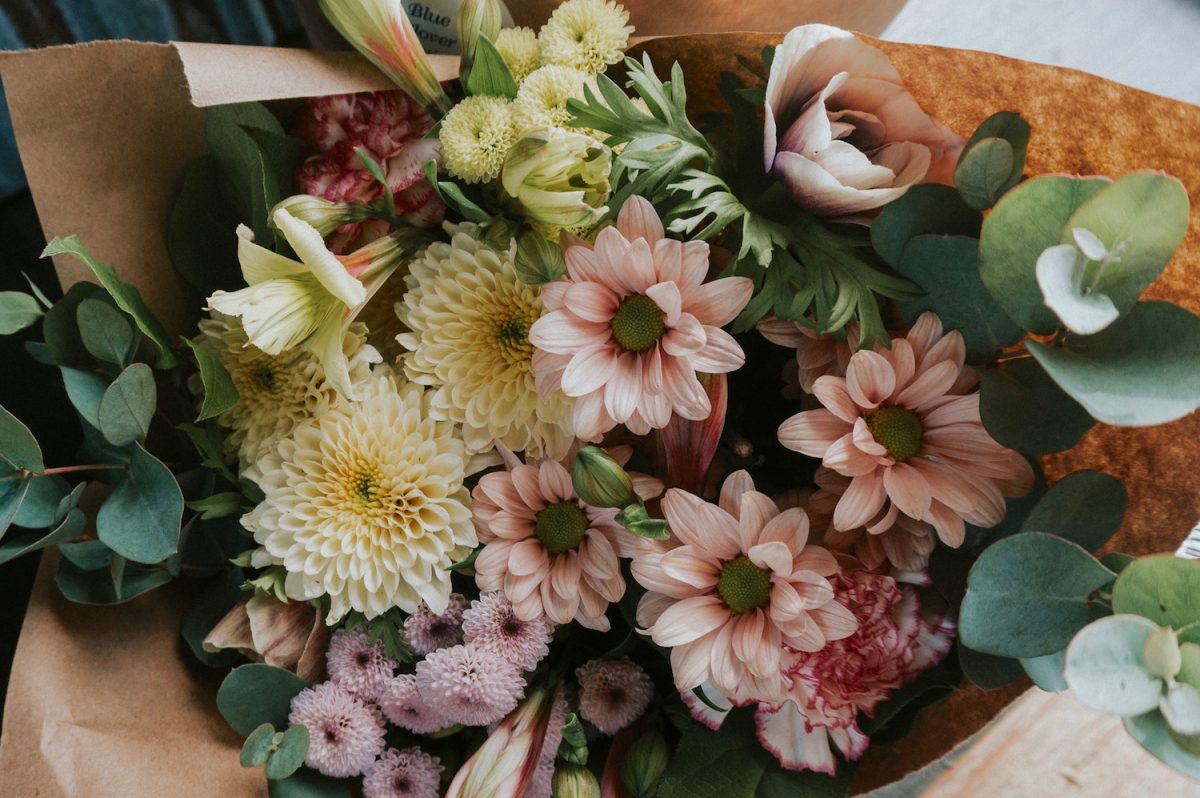 FLORA & FAUNA - SPRINGTIME IN HARRISON RIVER VALLEY | Harrison Hot ...