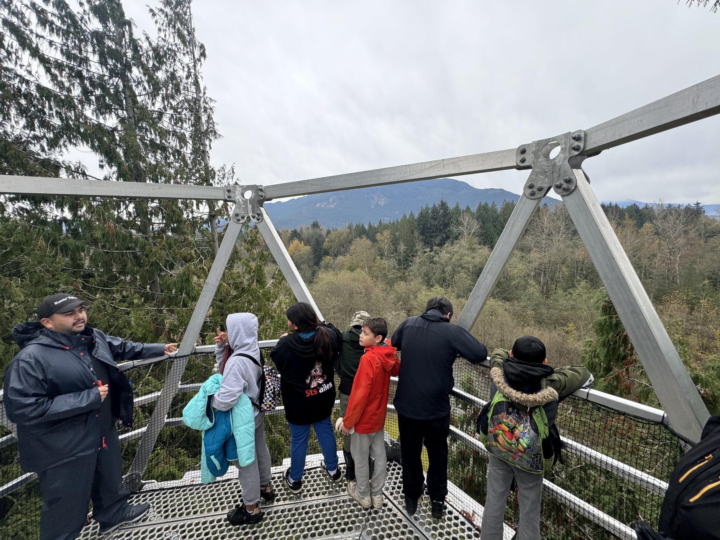Sts’ailes Eagle Viewing Tower | Harrison River Valley
